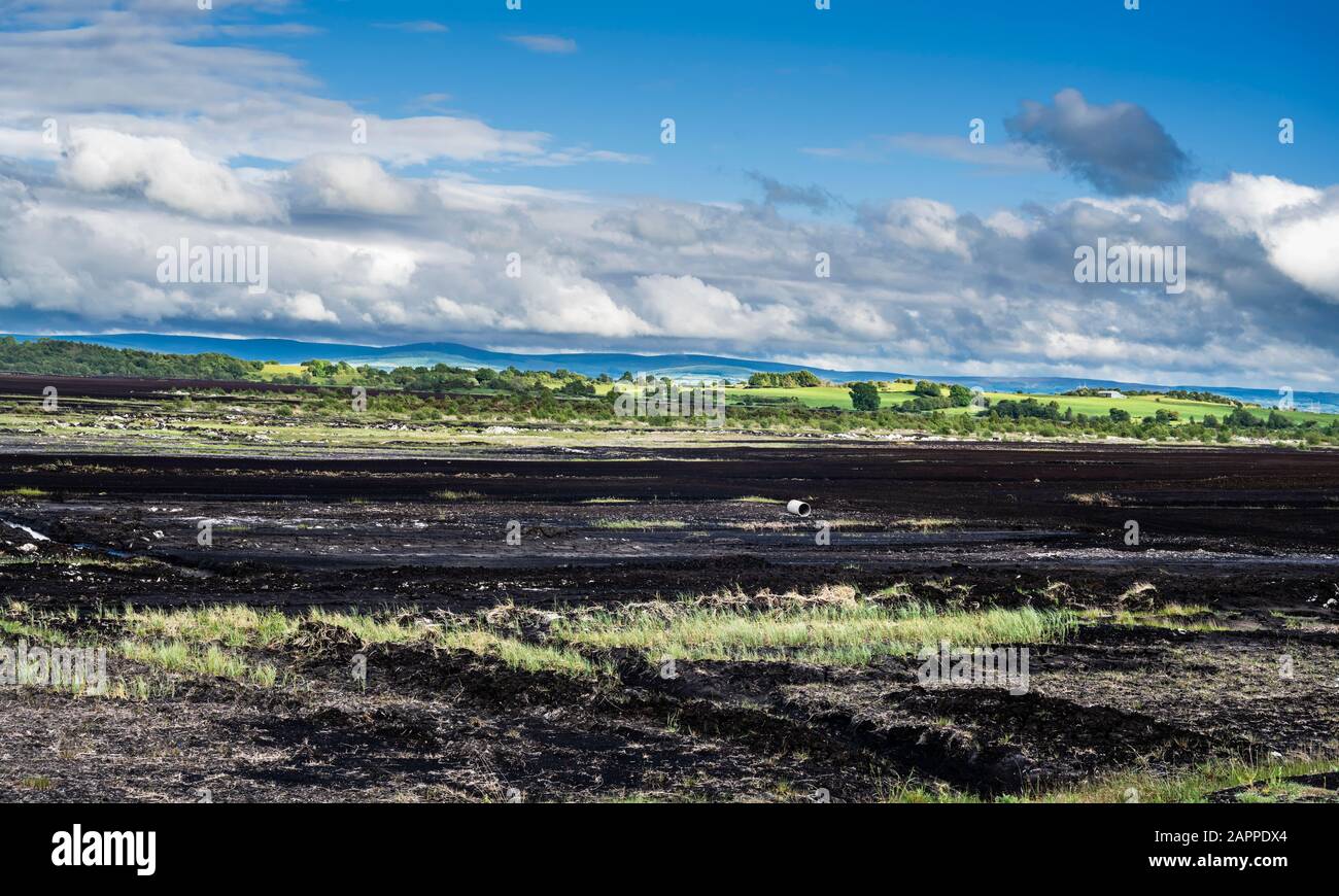 An industrial Bord na Mona cut away bog used for peat extraction near ...
