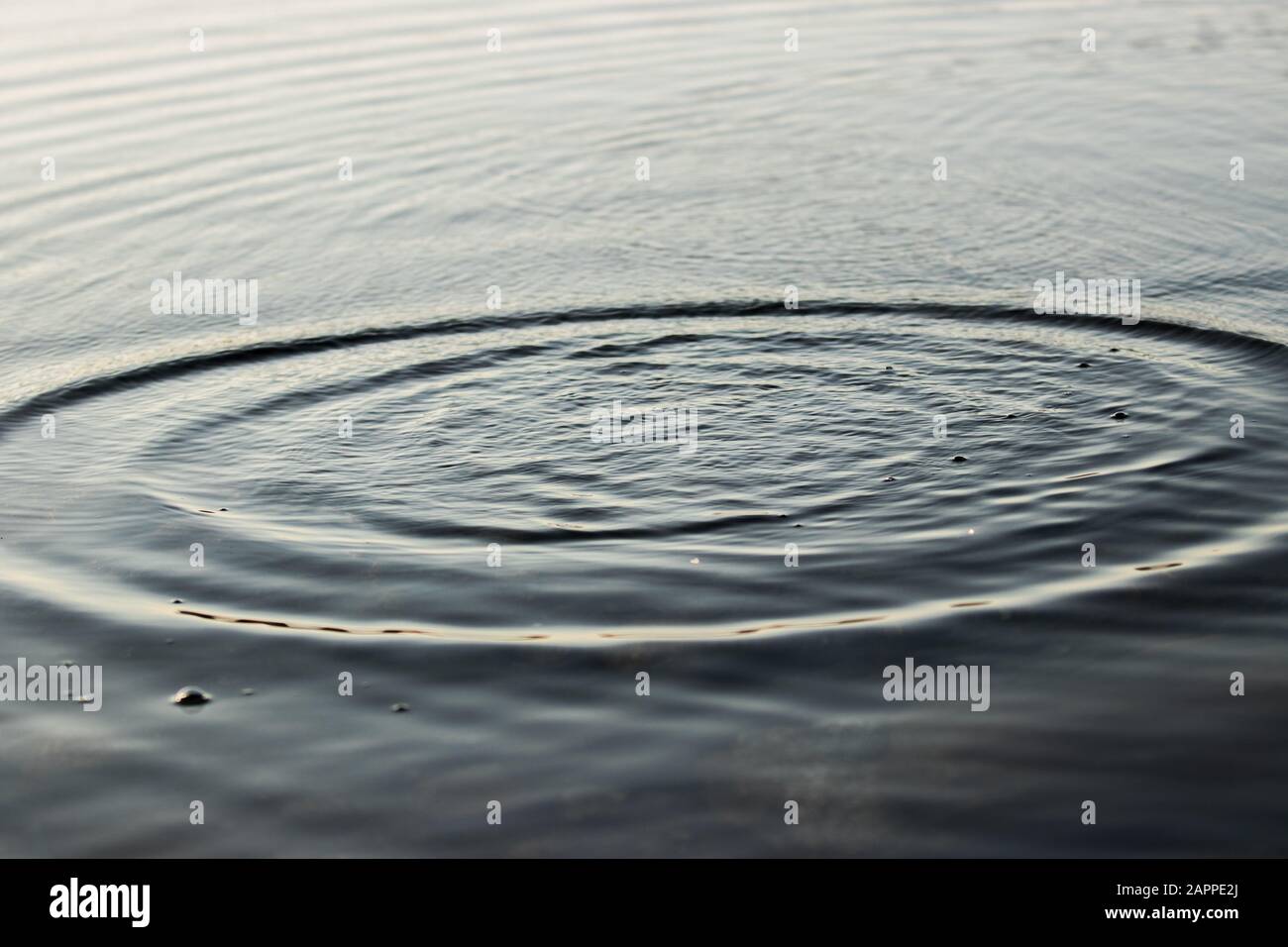 Water ripples in a pond Stock Photo - Alamy