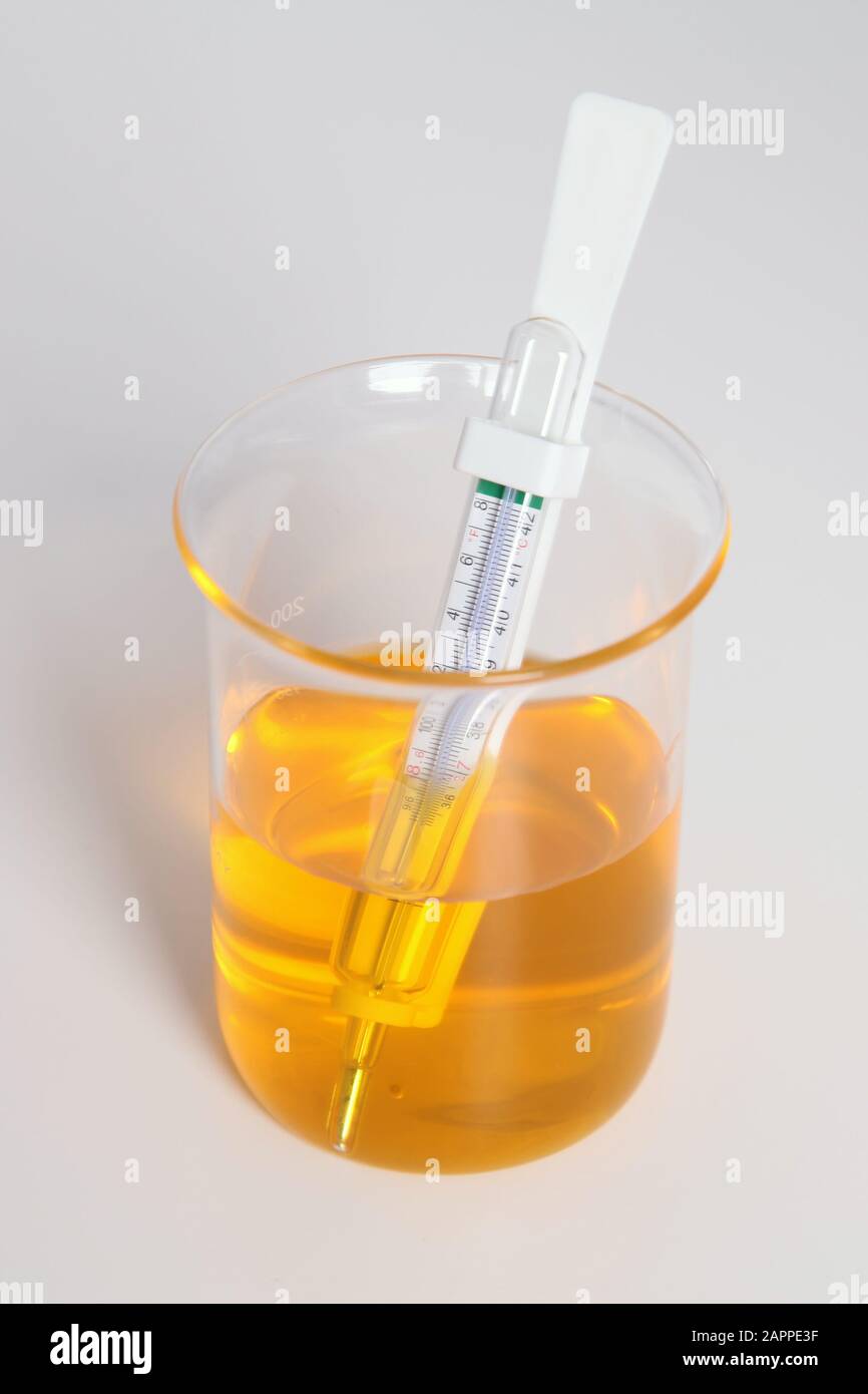 Thermometer in glass beaker of yellow liquid dip, science lab on white ...