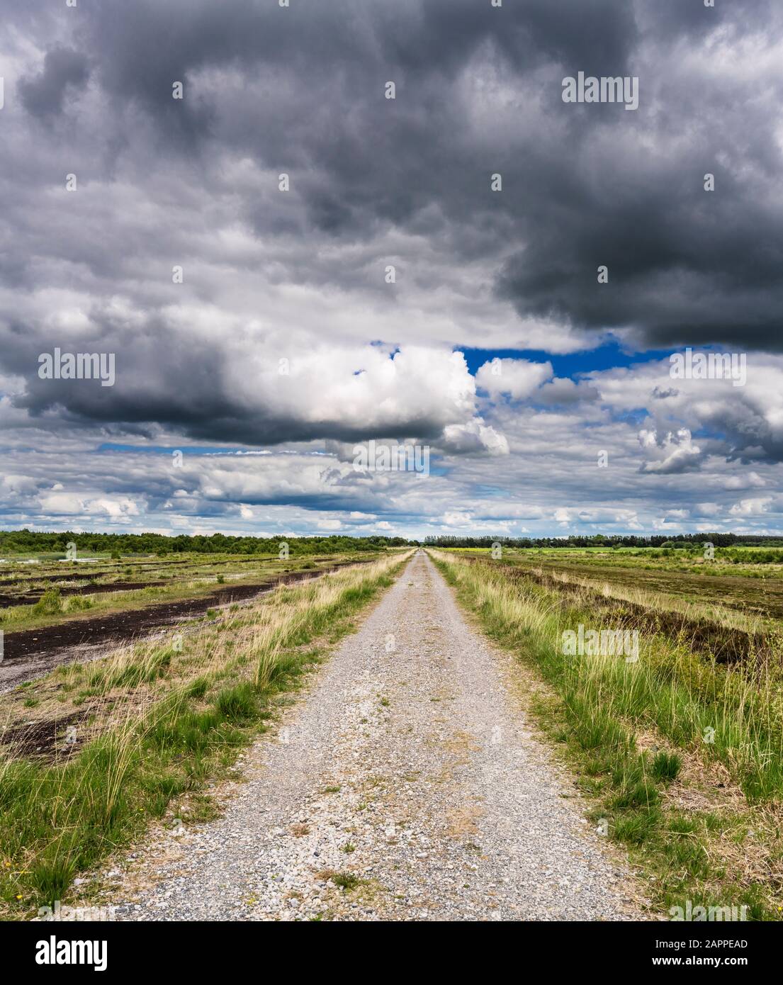 Boora Bog High Resolution Stock Photography and Images - Alamy
