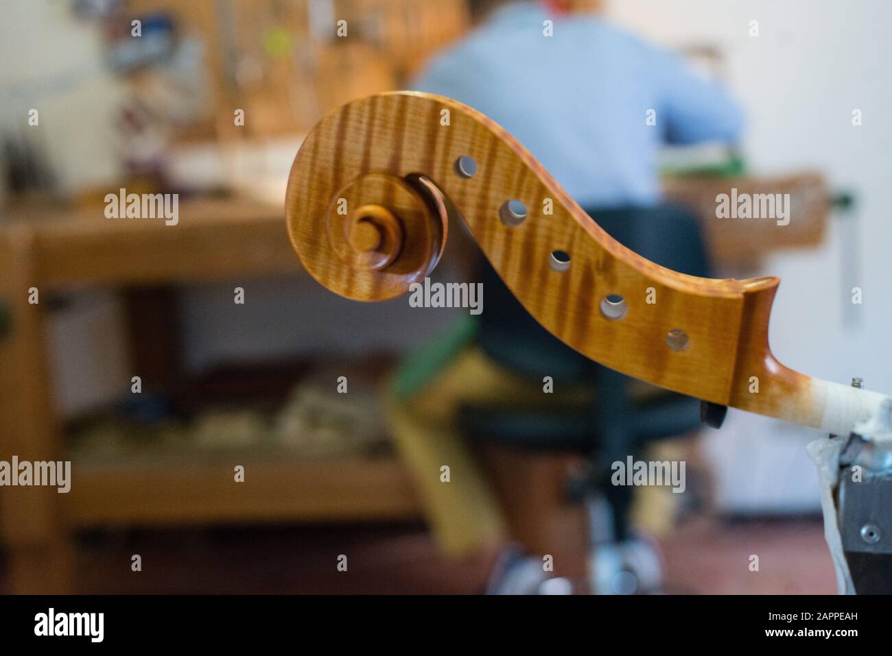 Violin maker at work in the laboratory with tools in Cremona Stock ...