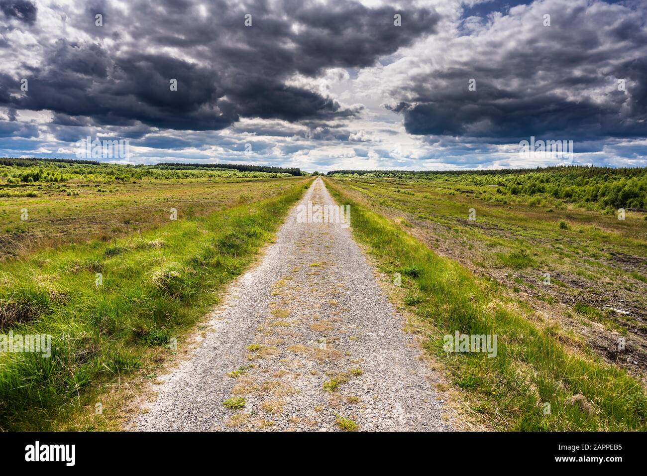 Boora Bog High Resolution Stock Photography and Images - Alamy