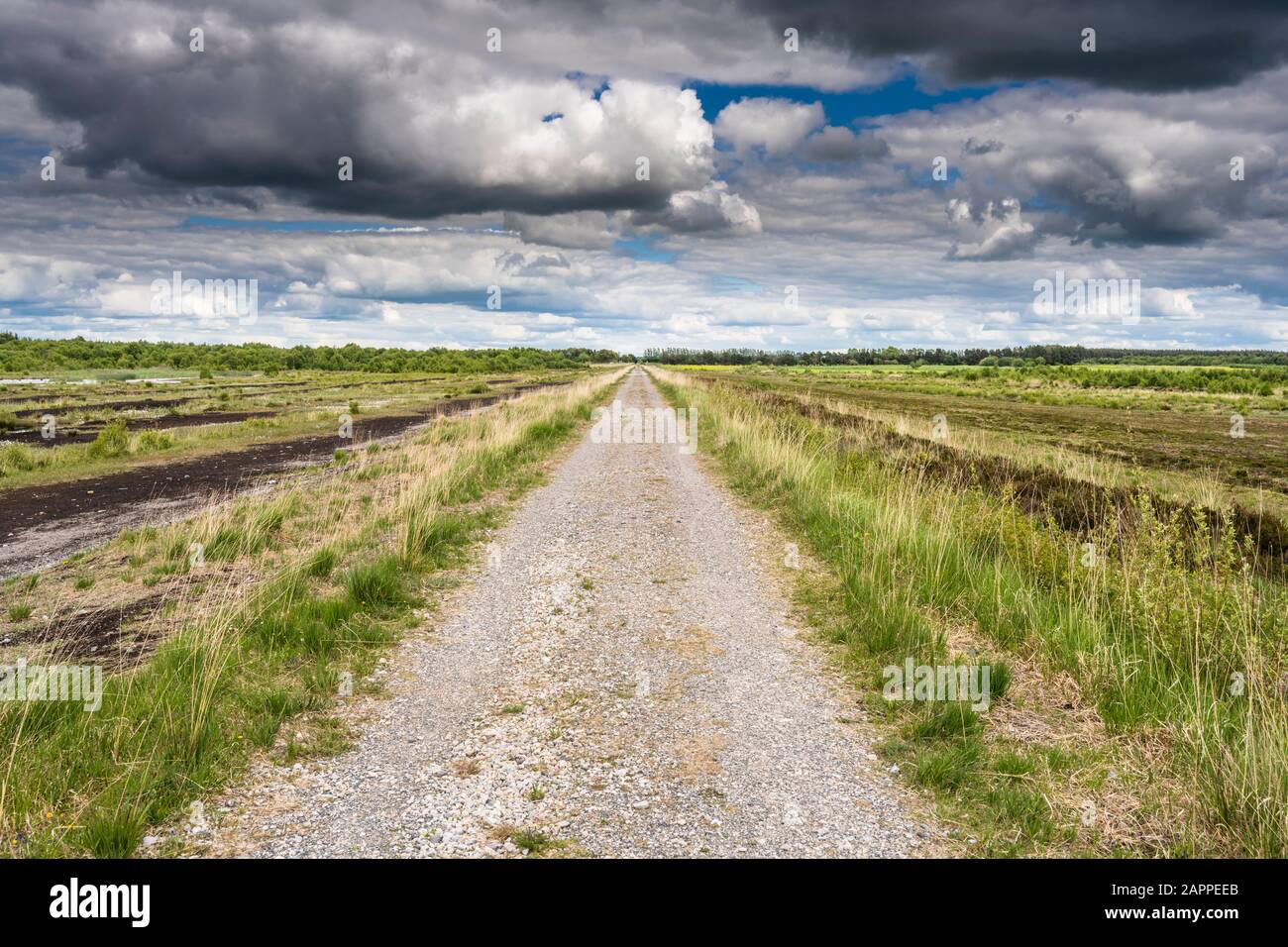 Boora Bog High Resolution Stock Photography and Images - Alamy