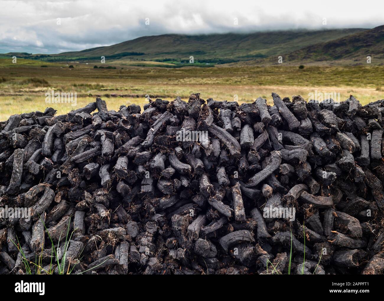 A stack of dried sods of peat or turf in August, awaiting collection ...