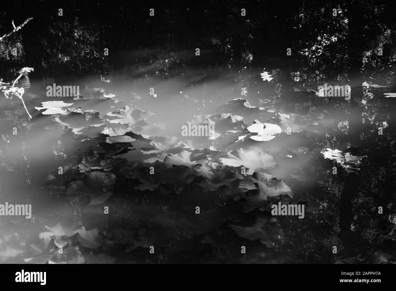 Heavy and light hi-res stock photography and images - Alamy