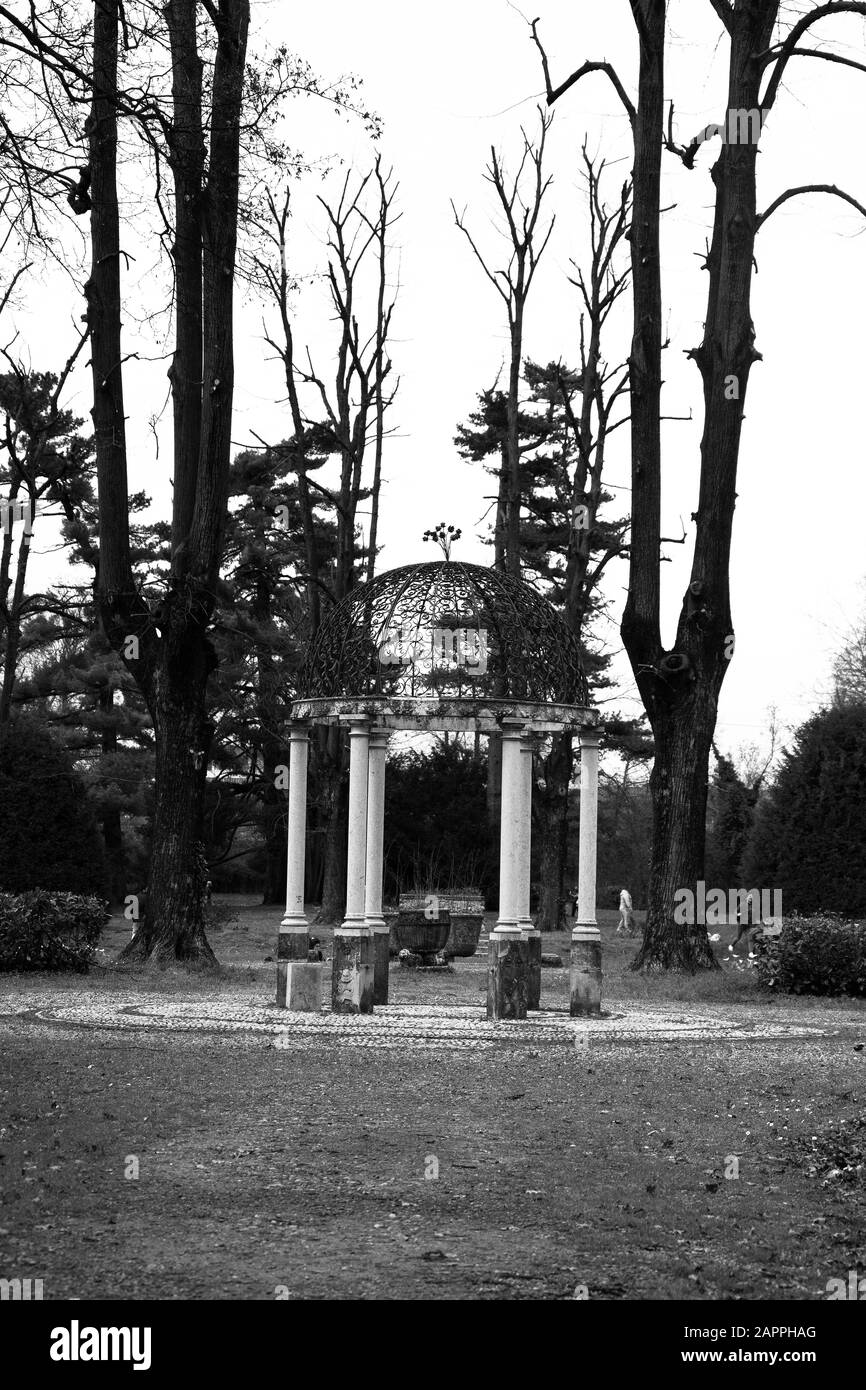 Two tall trees in Black and White Stock Photos & Images - Alamy