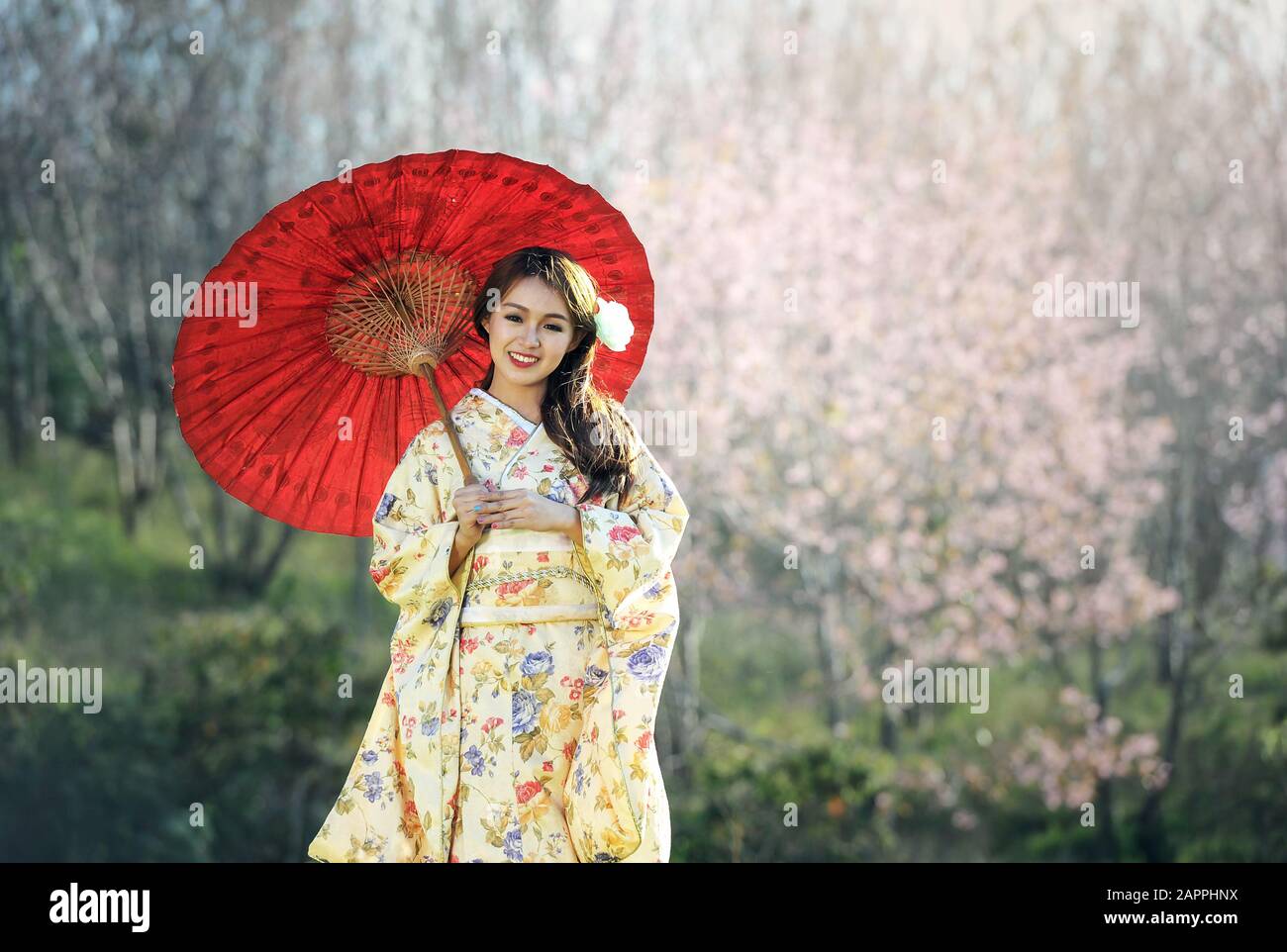 Traditional japanese kimono hi-res stock photography and images - Alamy