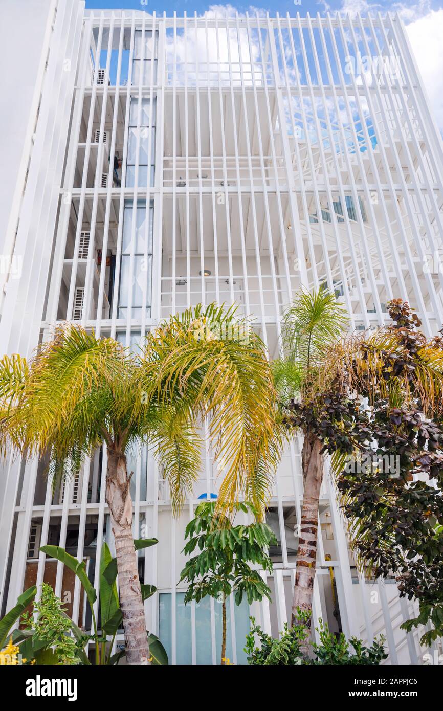 Palm trees in the garden near the modern hotel building at the beach ...