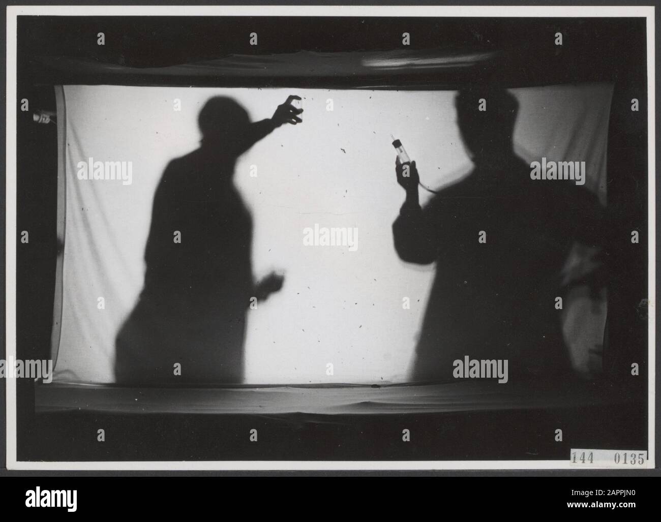 Brongersma hi-res stock photography and images - Alamy