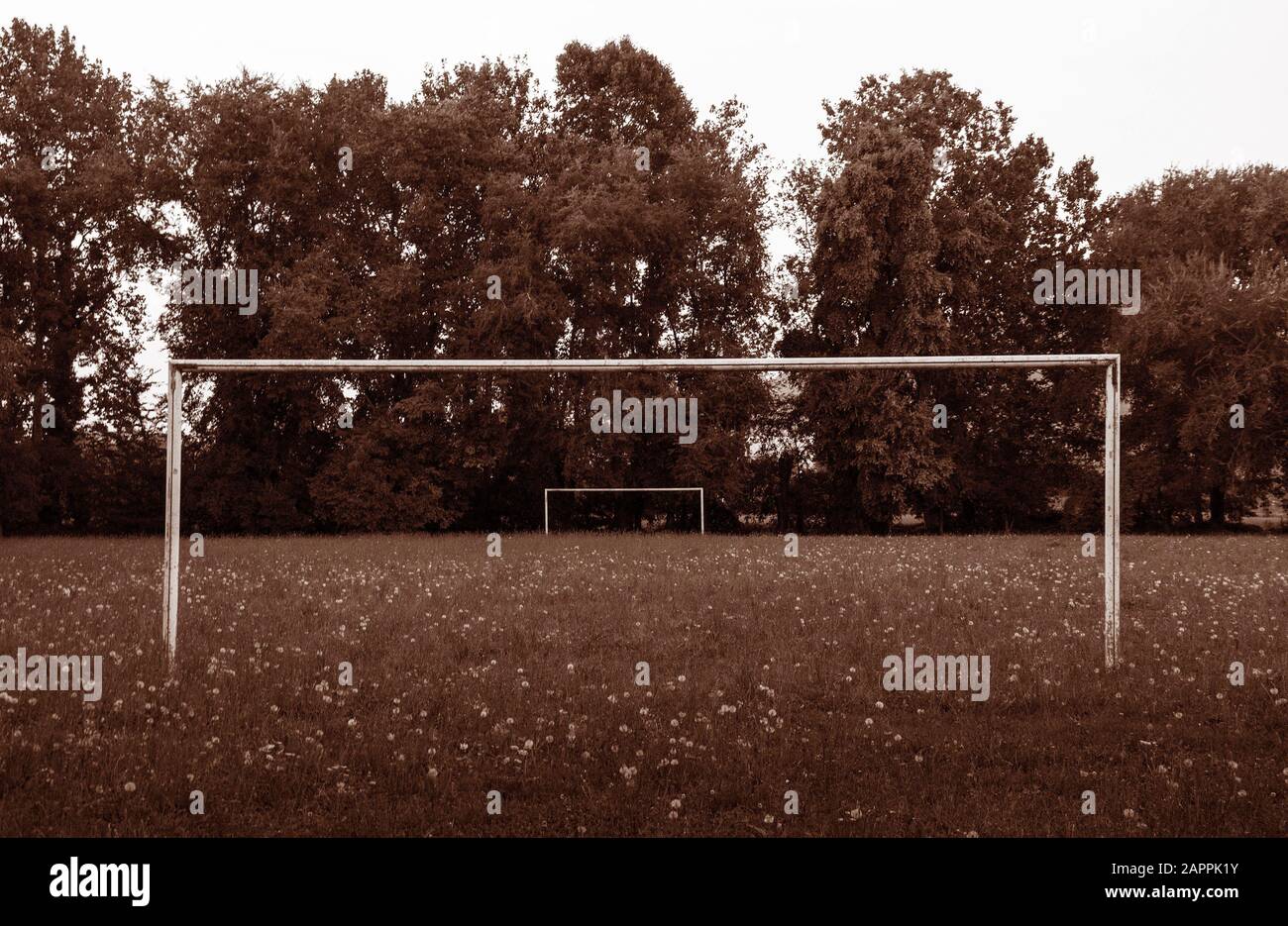 Football field flowers in hi-res stock photography and images - Alamy