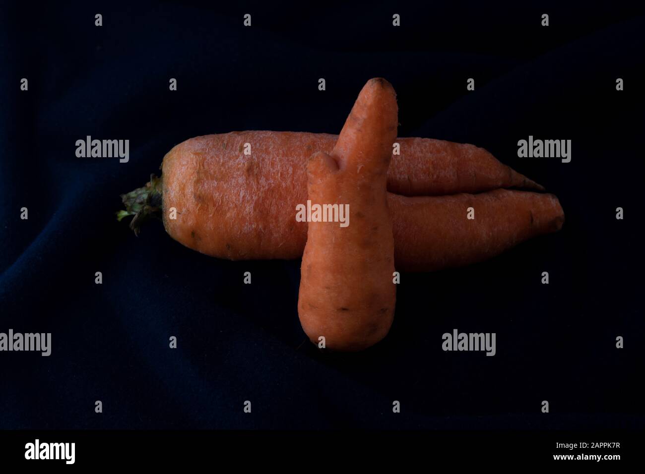 Siamese twin misshapen carrot, top view. Dark Stock Photo - Alamy