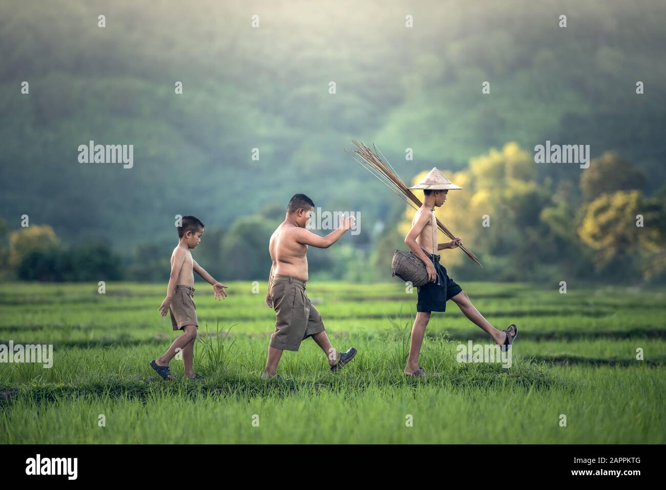 Boy in rice field hi-res stock photography and images - Alamy