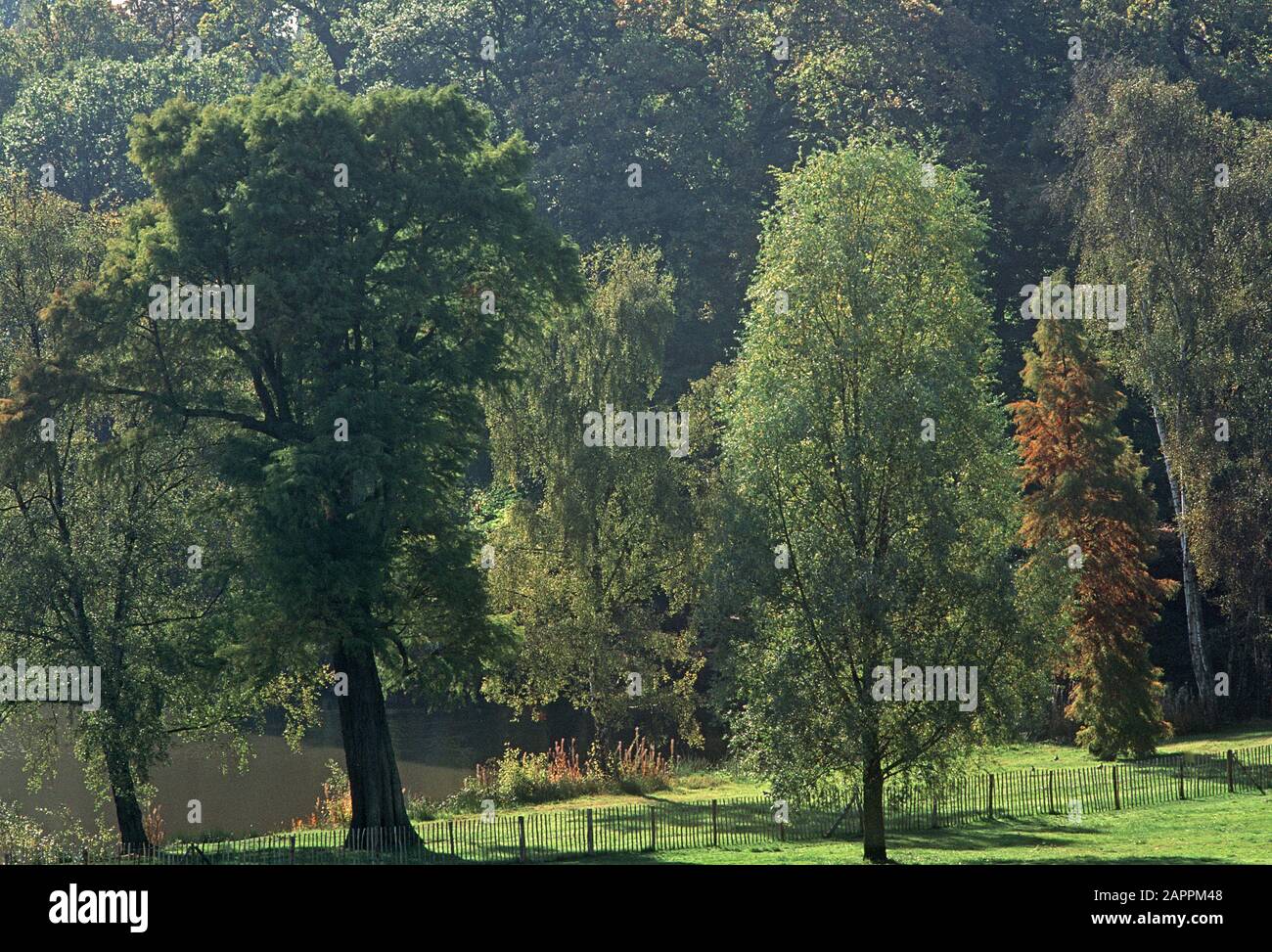 Early autumn colours, Hampstead Heath, North London, England, UK Stock ...