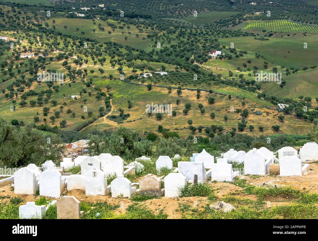 Africa arab cemetery hi-res stock photography and images - Alamy