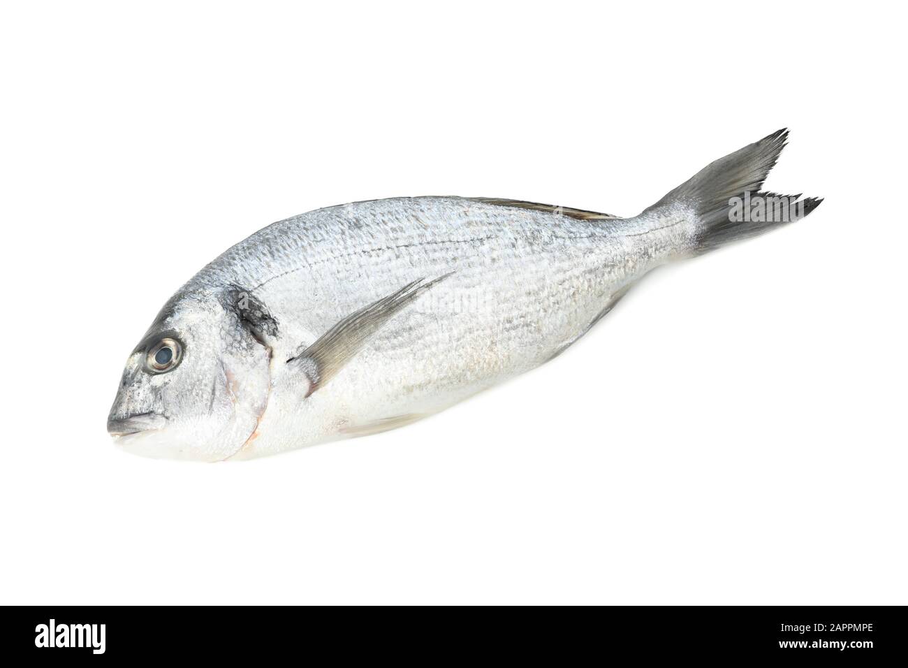 Fresh Dorado fish isolated on white background Stock Photo - Alamy