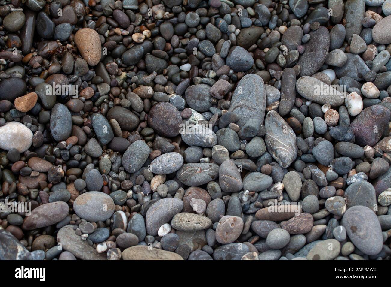sea pebbles colored granite on the beach background stones. The shore ...