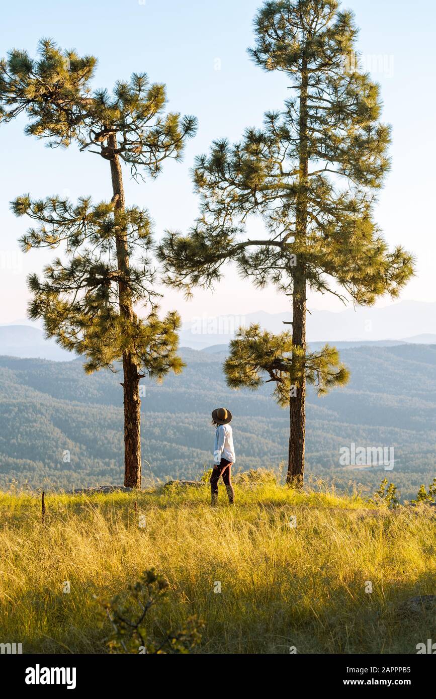 Payson arizona hi-res stock photography and images - Alamy