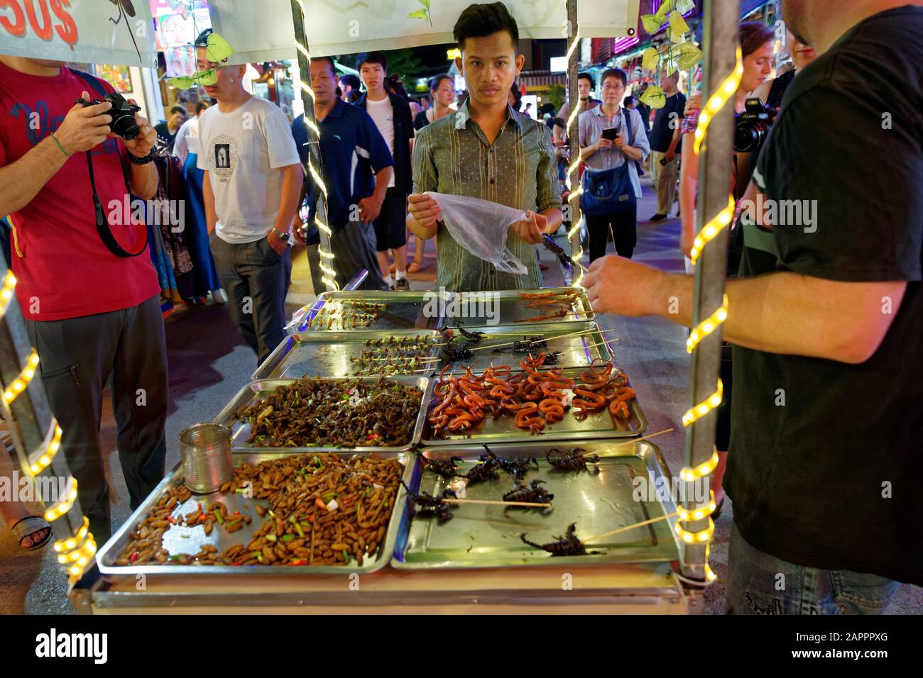 Insect Food stall,SiemReap,Cambodia, Indochina, Southeast Asia, Asia ...