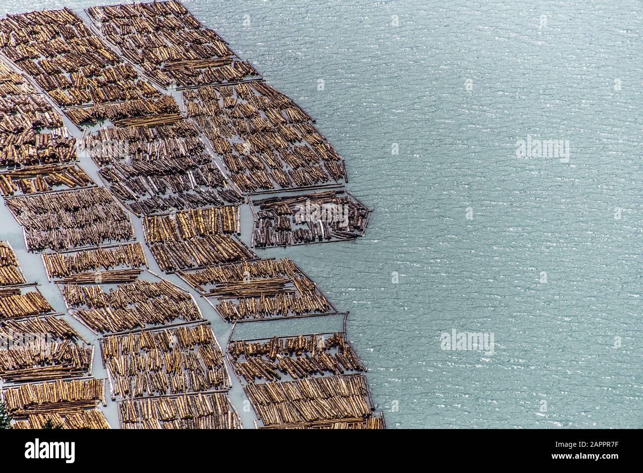 Logs floating in water hi-res stock photography and images - Alamy