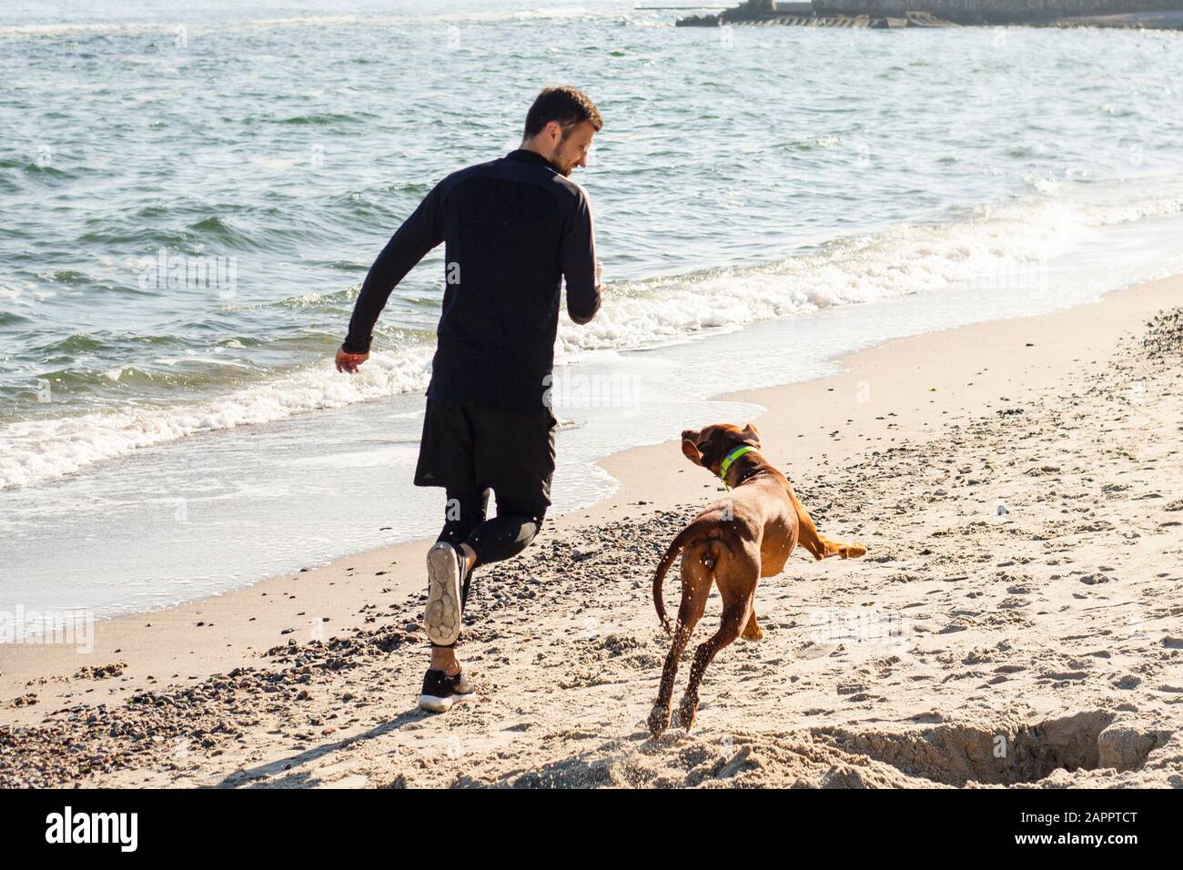Man jogging with dog on beach Stock Photo - Alamy