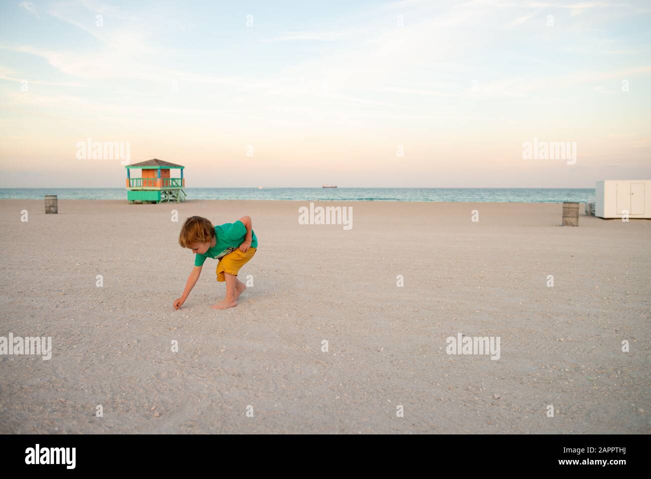 One shell on sandy beach hi-res stock photography and images - Alamy