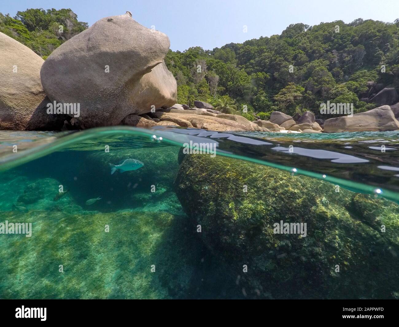 Clear water and rocks of Ko Miang island, Thailand Stock Photo - Alamy