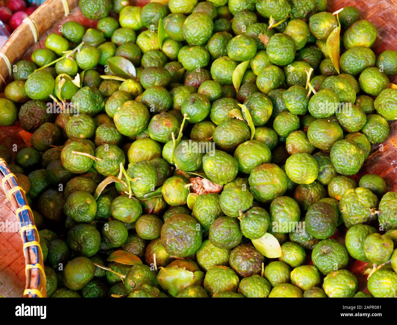 Kaffir Lime Citrus Hystrix High Resolution Stock Photography and Images ...