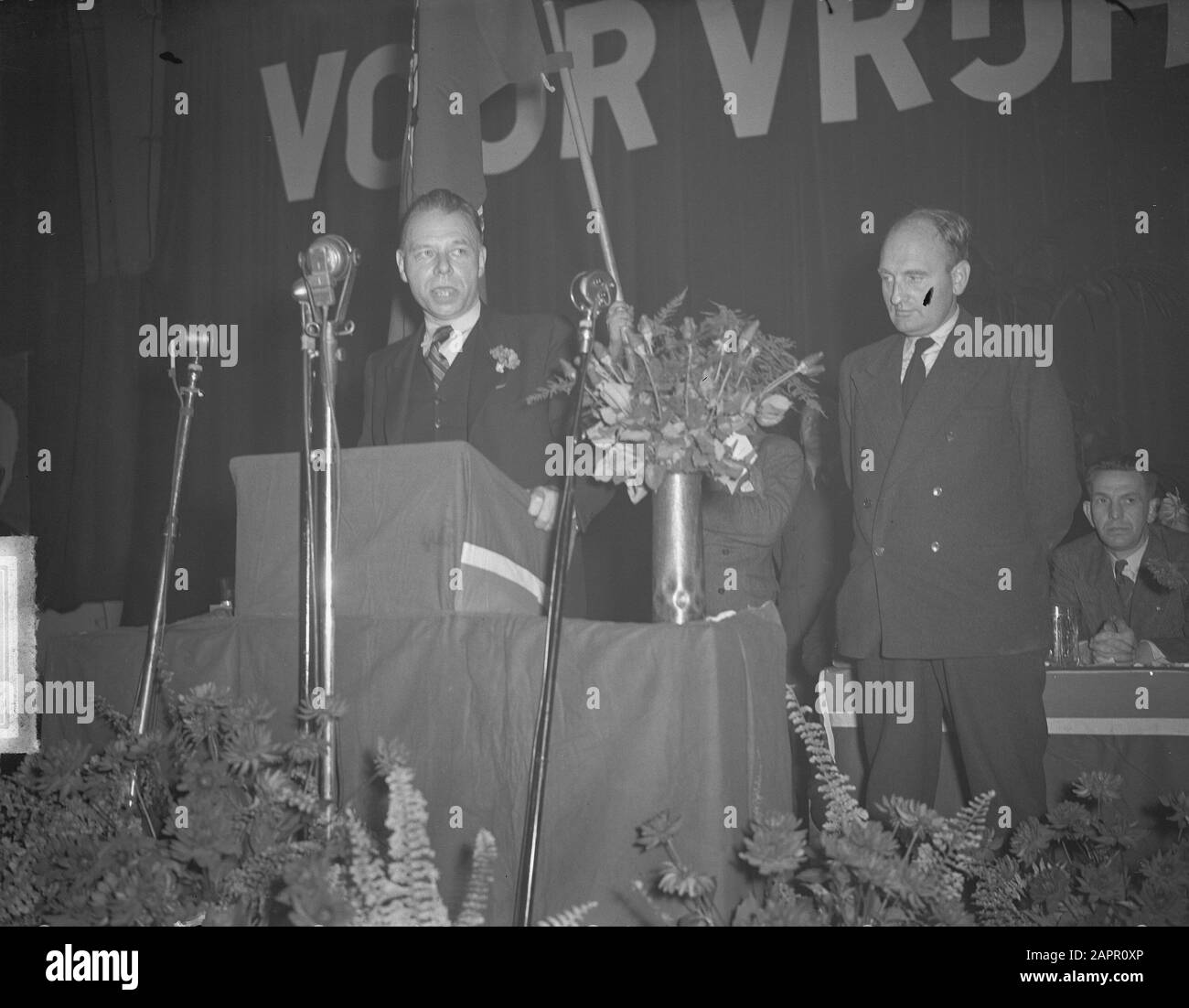 Koos roos hi-res stock photography and images - Alamy