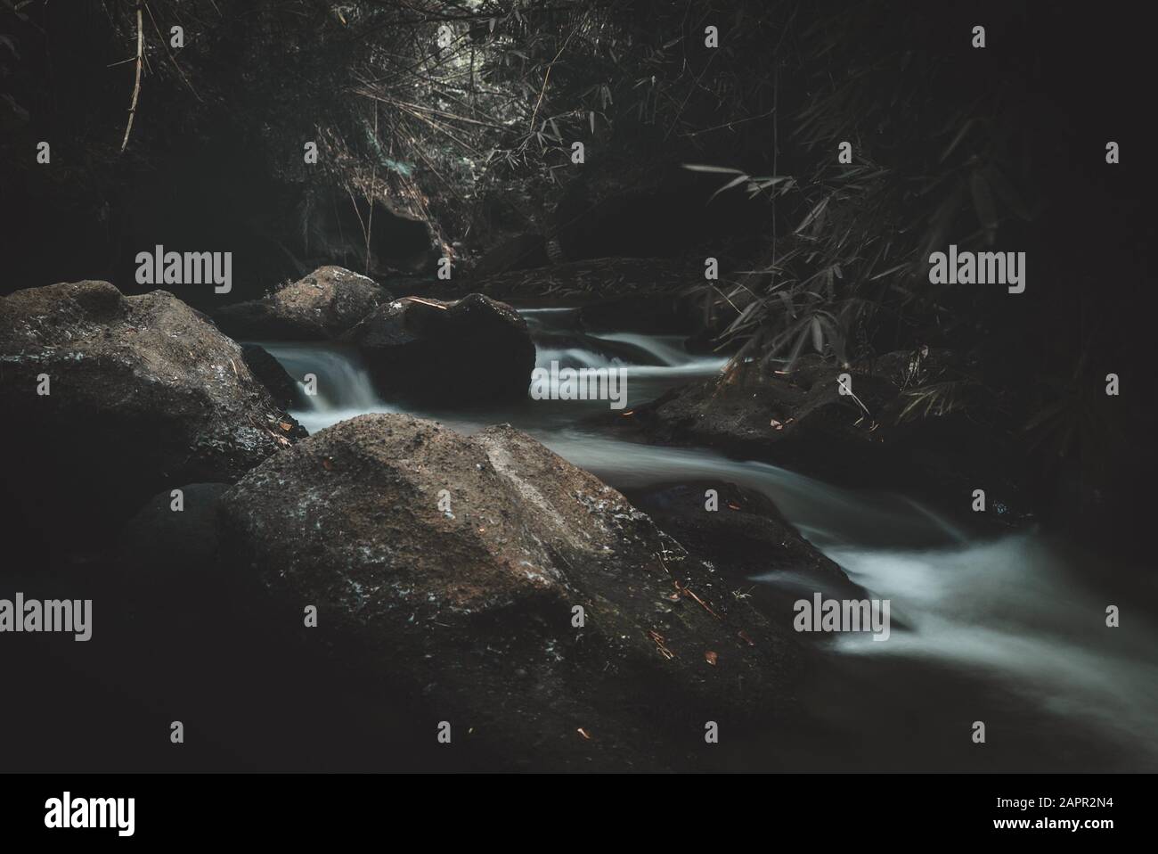 Long exposure shot of a river in Bali with a low color profile Stock ...