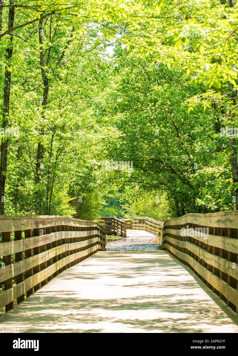 Georgia flood hi-res stock photography and images - Alamy
