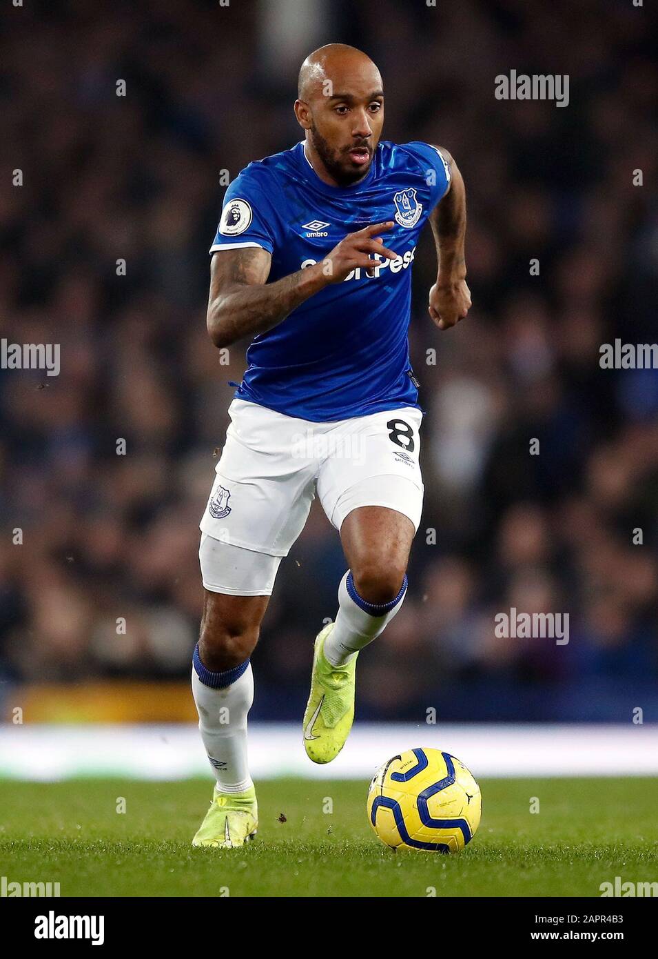 Fabian delph everton hi-res stock photography and images - Alamy
