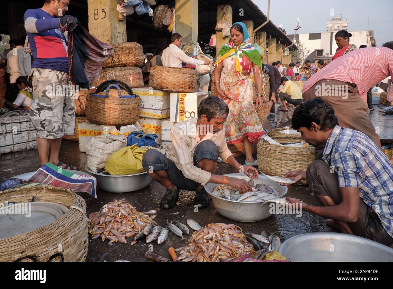 Fish vendors sorting fish at Sassoon Docks, a fishing harbor in Colaba ...