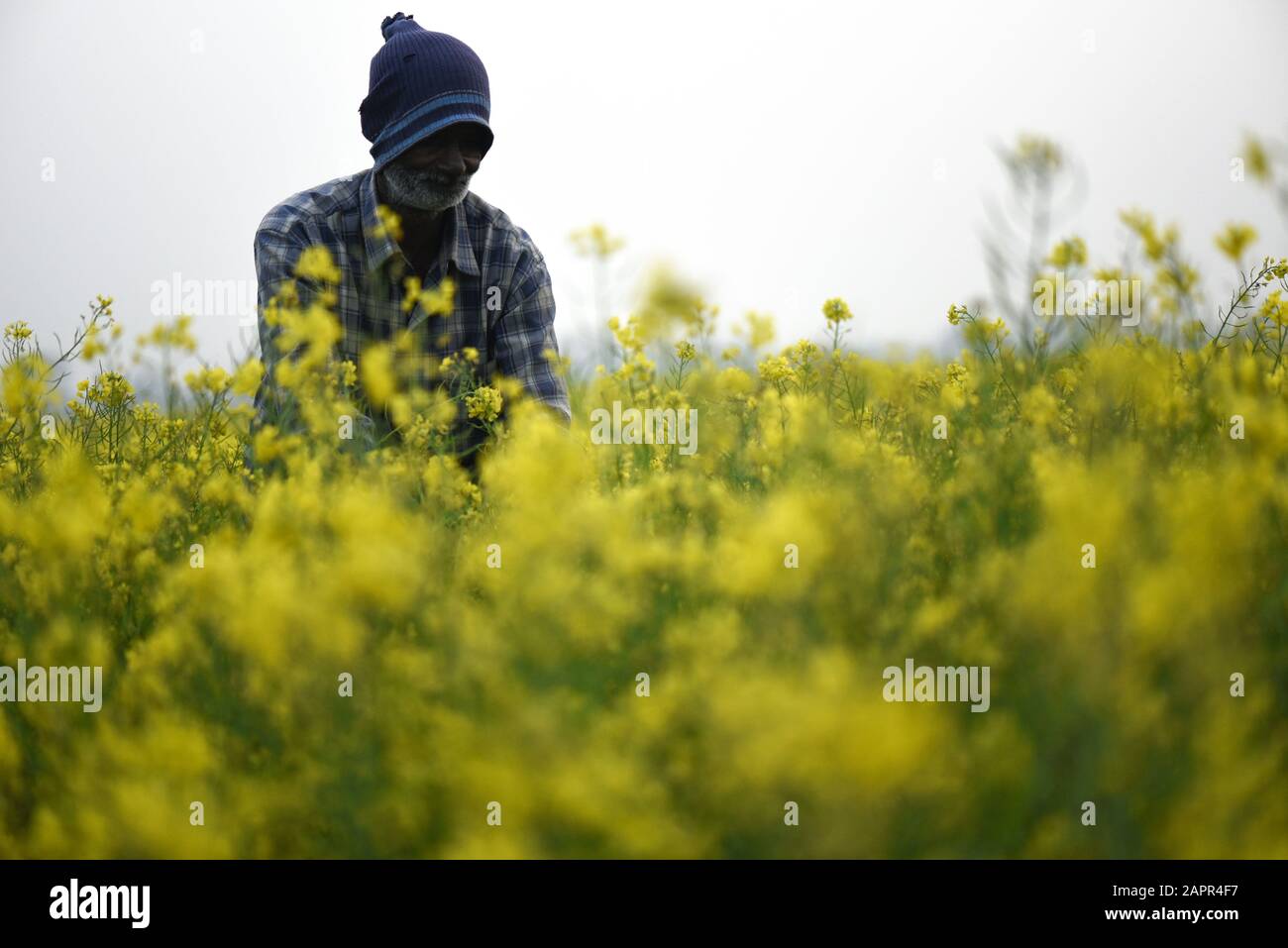Kayakuchi village hi-res stock photography and images - Alamy