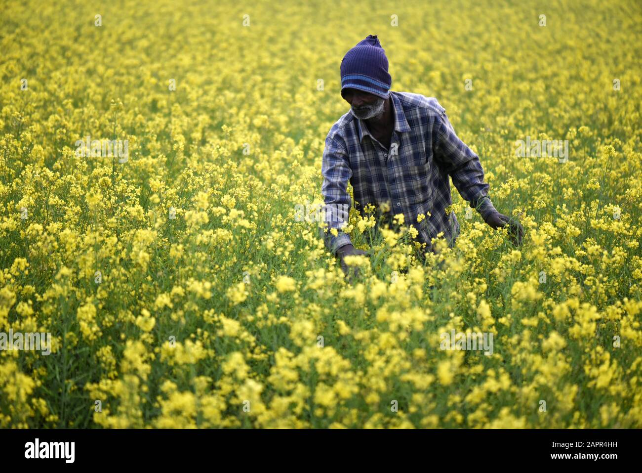 Kayakuchi village hi-res stock photography and images - Alamy