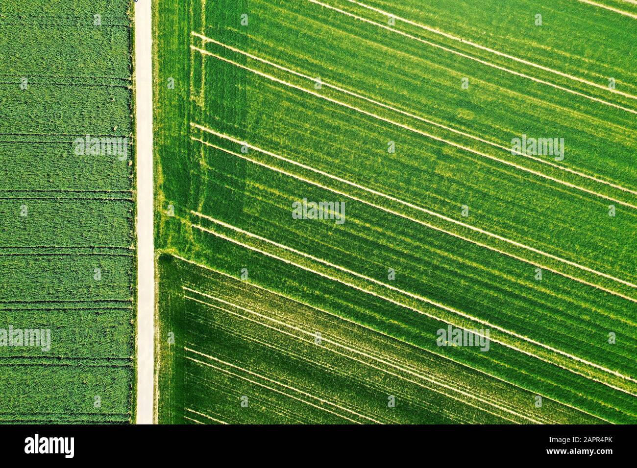 The earth from above a field Stock Photo - Alamy