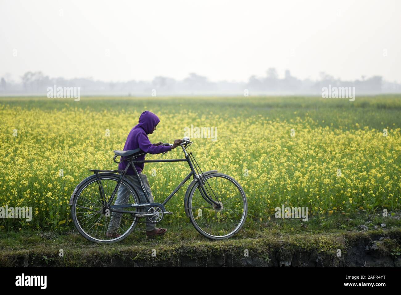 January 24, 2020, Barpeta, Assam, India: A boy walking with his bicycle ...