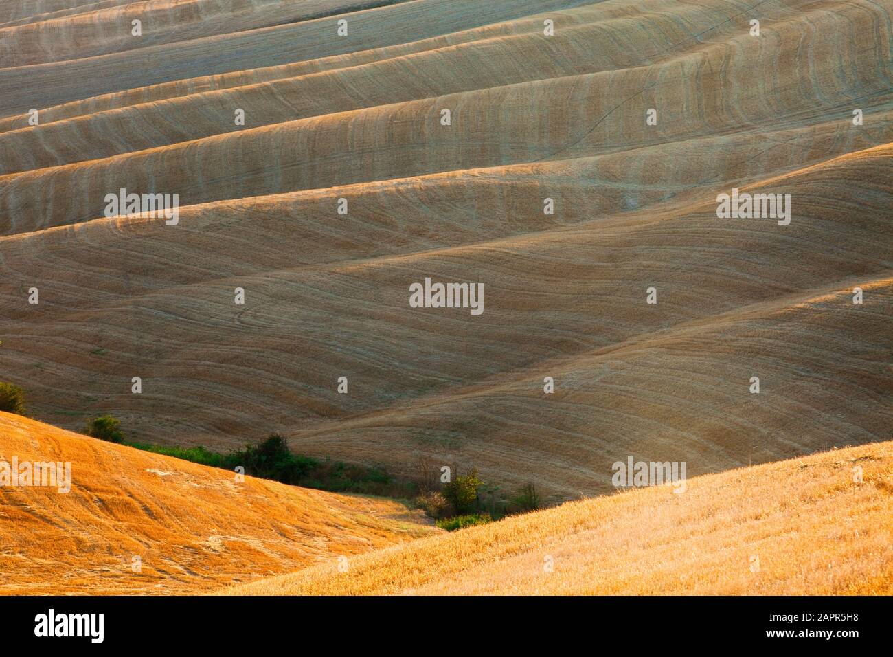 Italy, Tuscany, Le Crete, Crete Senesi - Rolling Hills and Dunes Stock ...