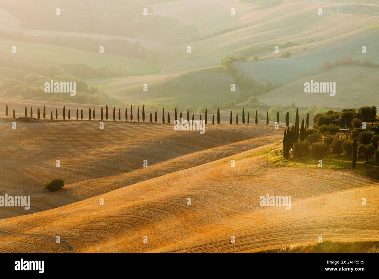 Italy, Tuscany, Crete Senesi - Rolling Hills, Dunes and Cypress Trees ...