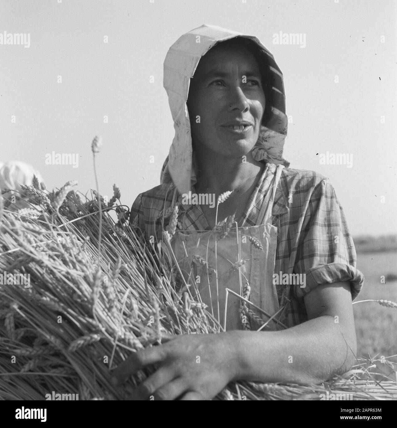 Set up by a dutch Black and White Stock Photos & Images - Alamy