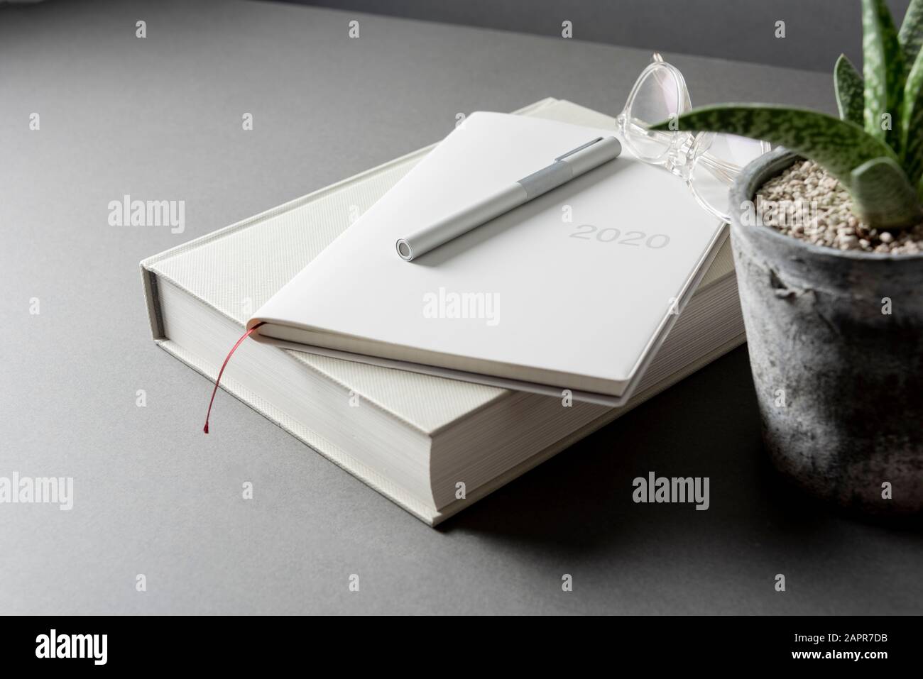 White 2020 diary and pen with a succulent plant on a desktop Stock ...