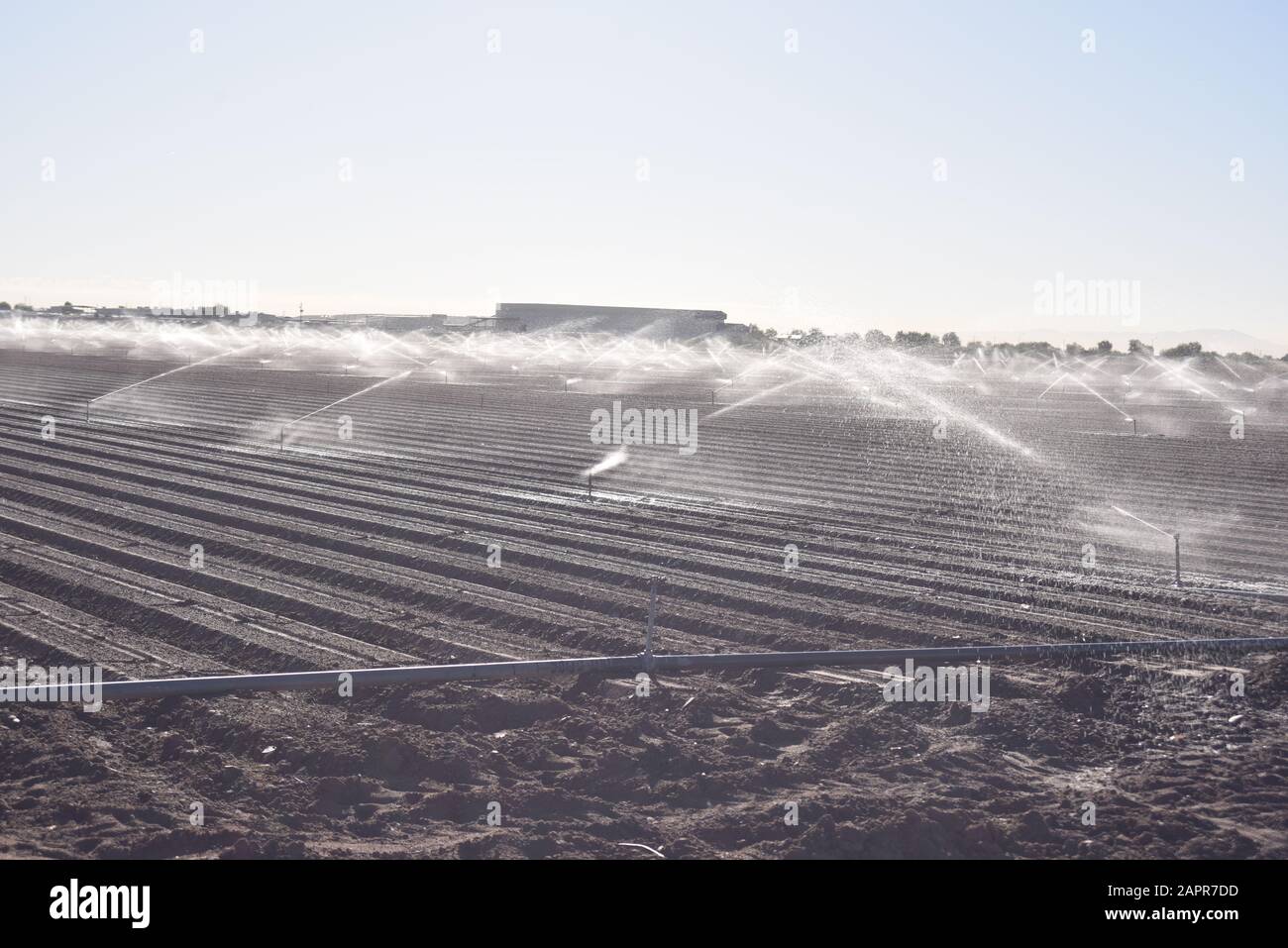 Irrigated system hi-res stock photography and images - Alamy