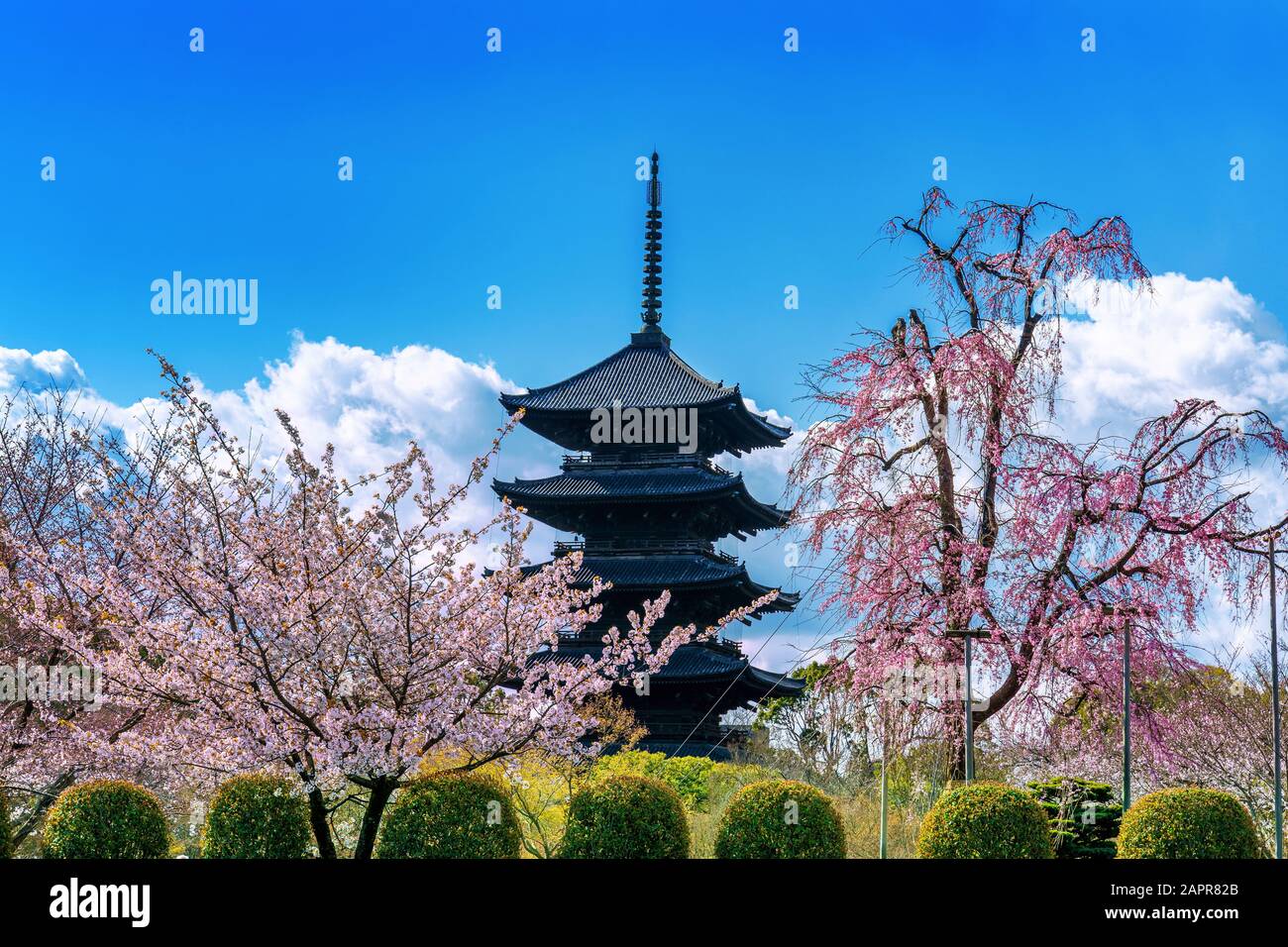 Spring kyoto hi-res stock photography and images - Alamy