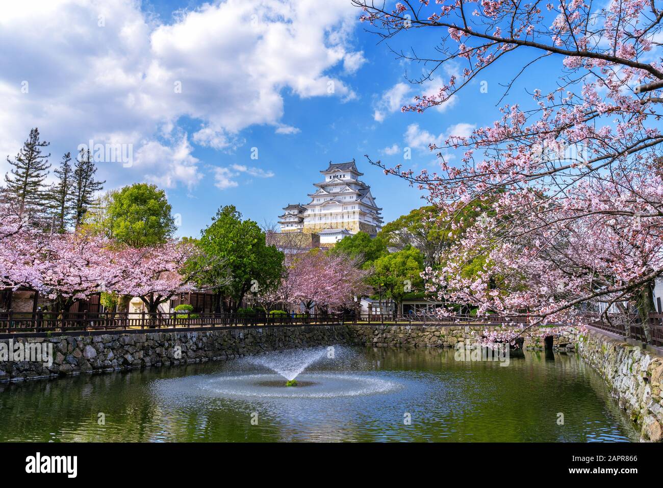 Himeji castle and sakura blossom with white sky in himeji hi-res stock ...
