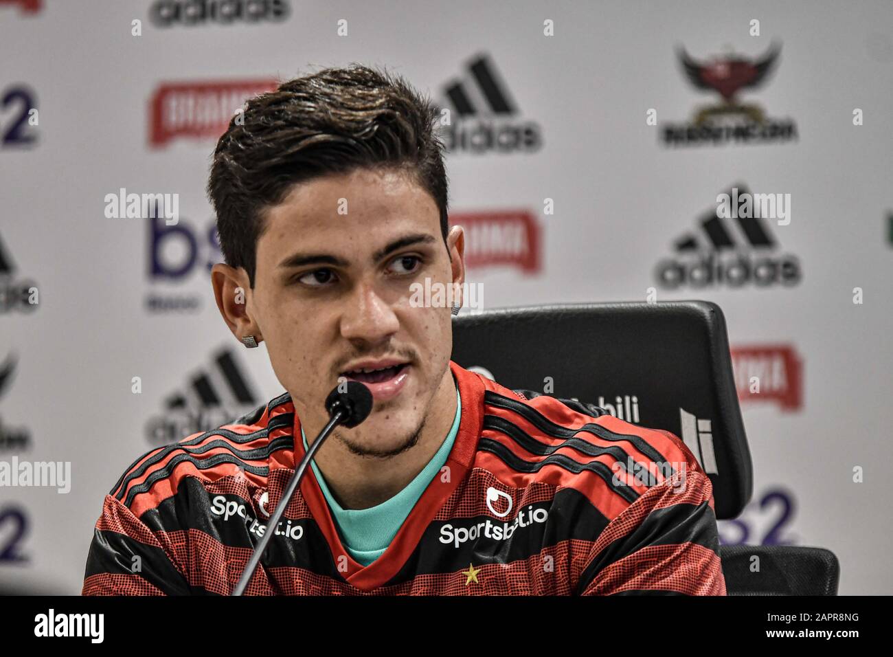 Ninho de urubu hi-res stock photography and images - Alamy