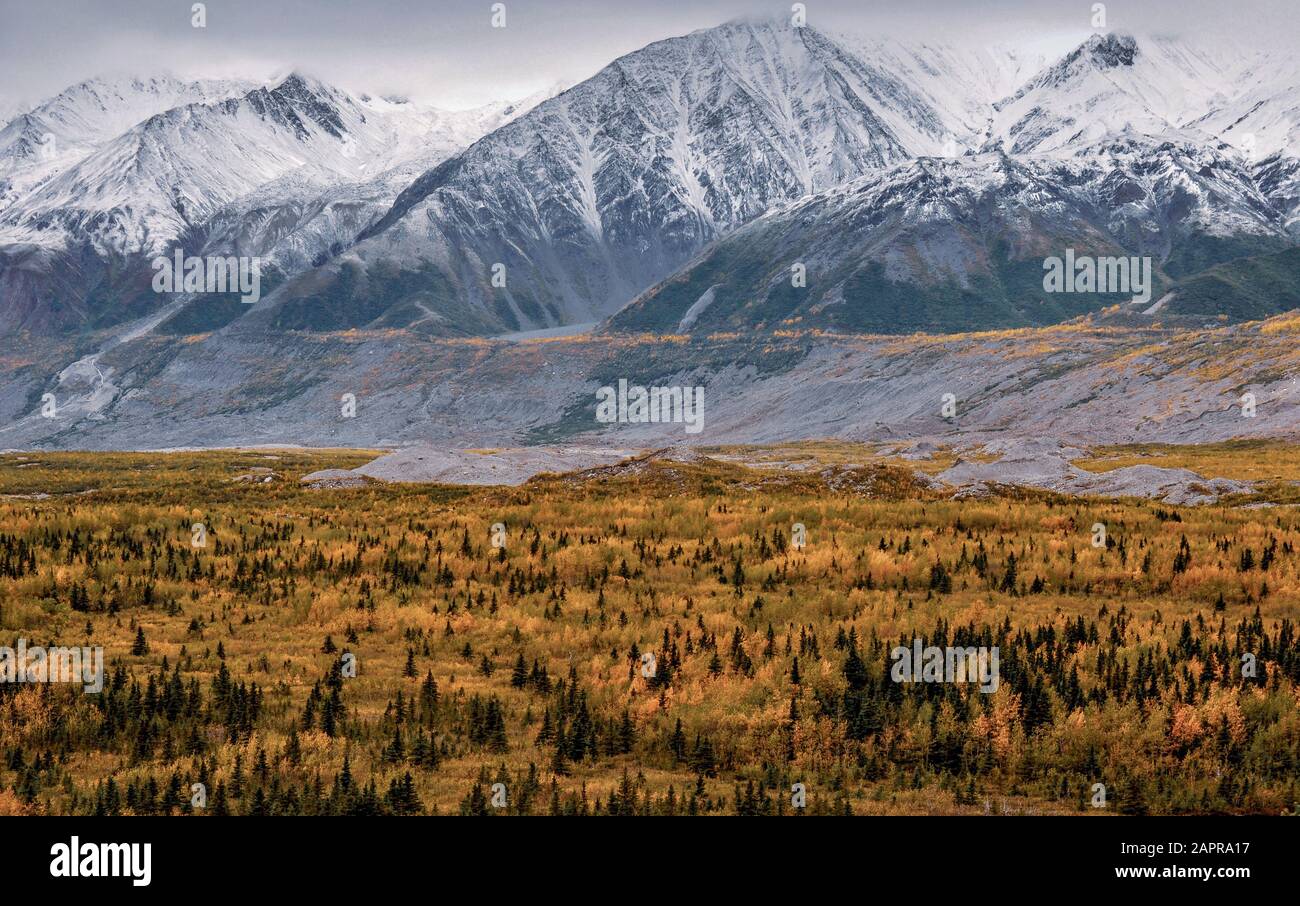 Dramatic snow-capped mountain range in Alaska with the forest valley ...