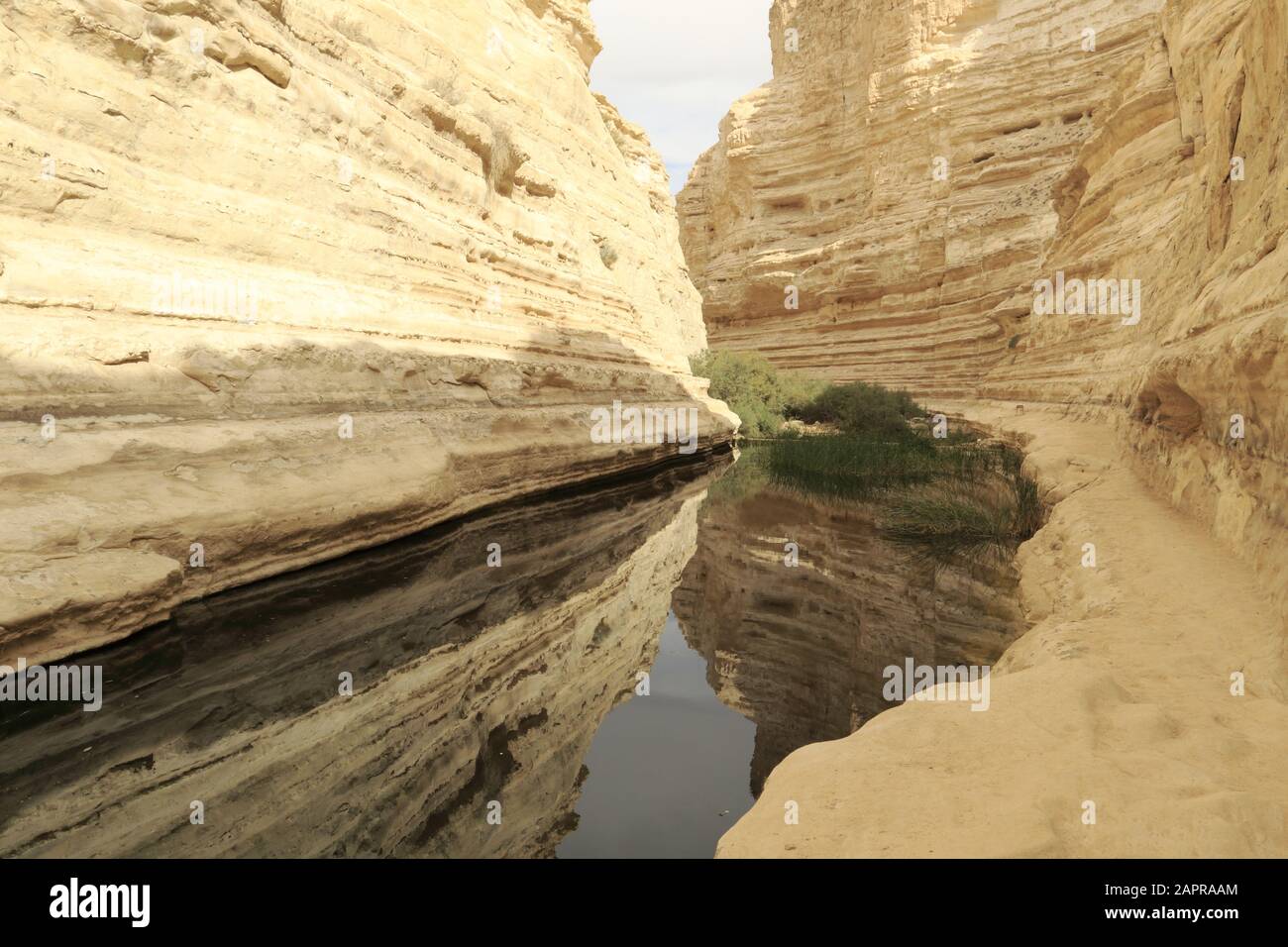 Ein avdat national park hi-res stock photography and images - Alamy