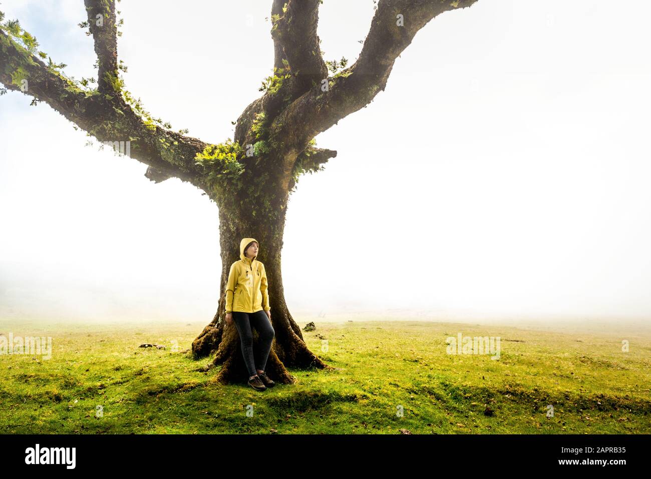 Traveller woman feeling the power of the nature at an ancient forest ...
