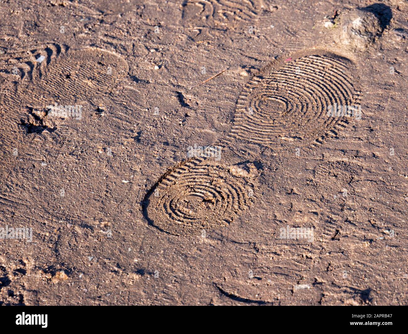 Shoe Print In Dirt