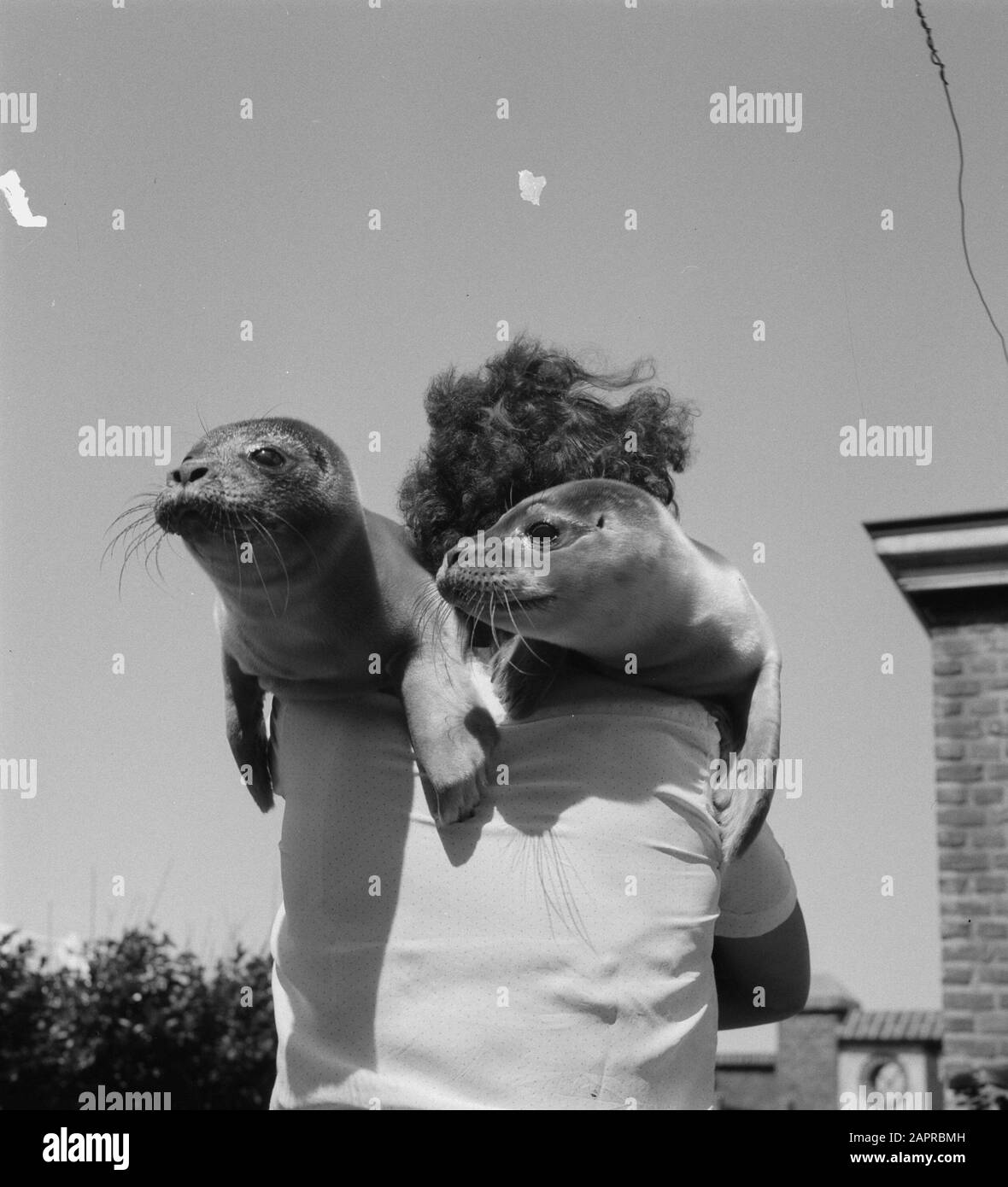 Mister Sissingh (Flushing) in doorway Date: 19 July 1950 Location ...