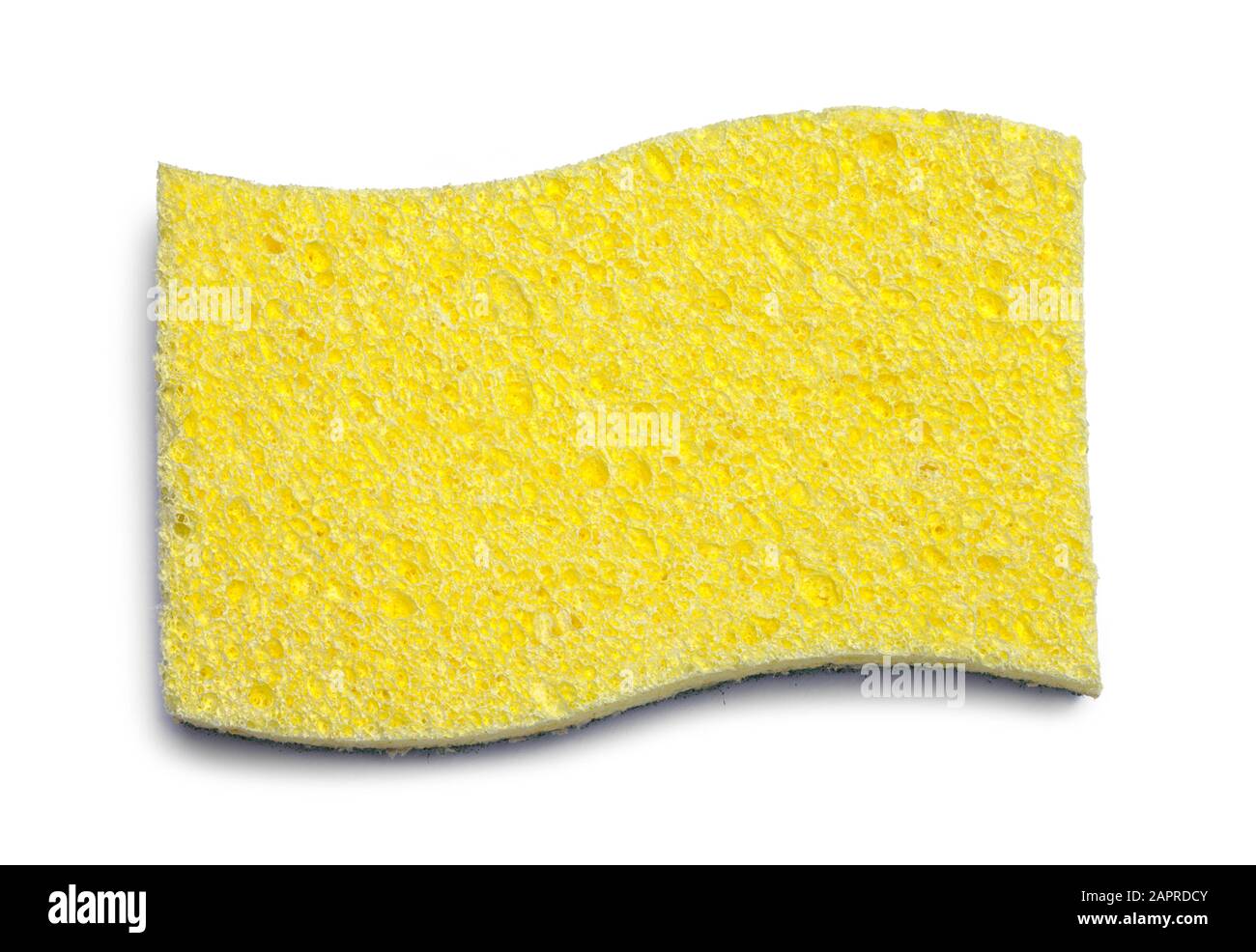 Yellow Sponge Top View Isolated on White Background Stock Photo - Alamy